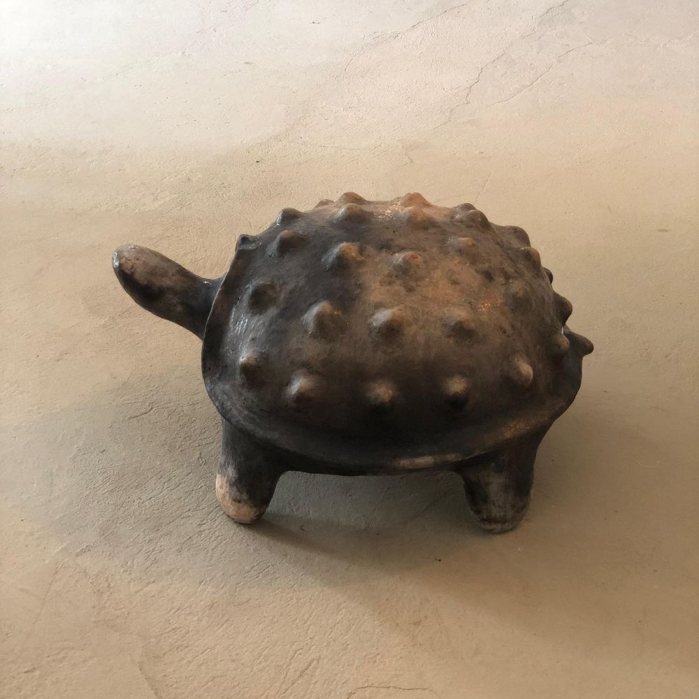 TORTUE KACHHUA Taille S
